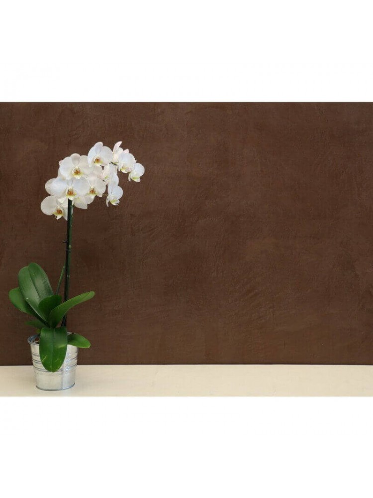 Kit béton ciré mural - Transformez vos murs intérieurs en béton ciré